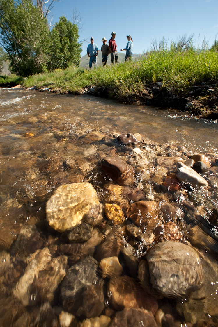 The Lemhi River | Upper Salmon Basin Watershed Program
