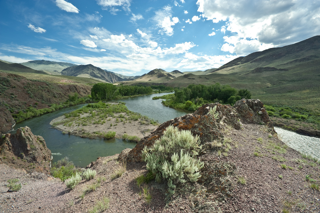 The Upper Lemhi | Upper Salmon Basin Watershed Program
