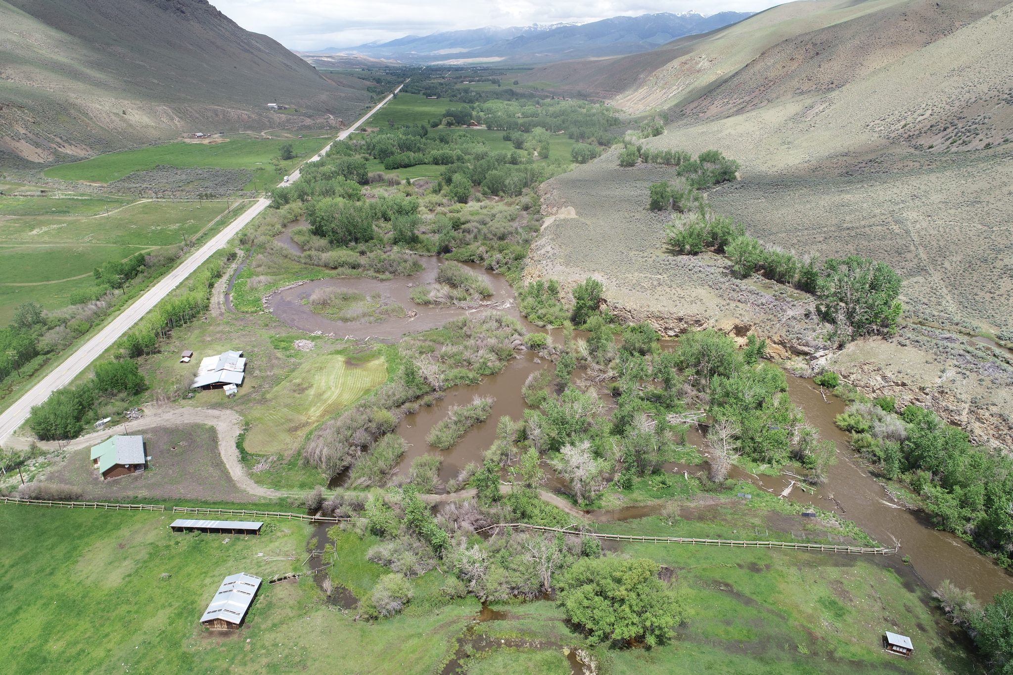 Henry Reach | Upper Salmon Basin Watershed Program