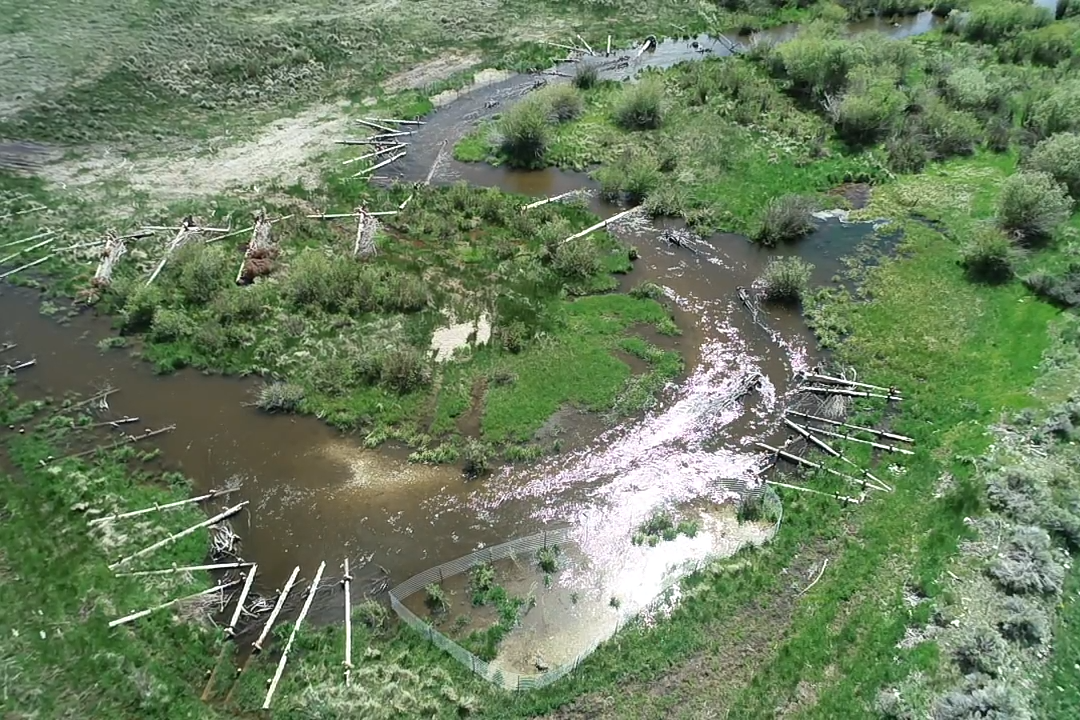 Beyeler Upper Lemhi | Upper Salmon Basin Watershed Program